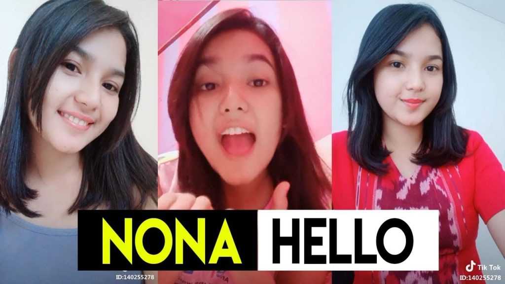 TOP 30 Artis TikTok di Indonesia - StarNgage